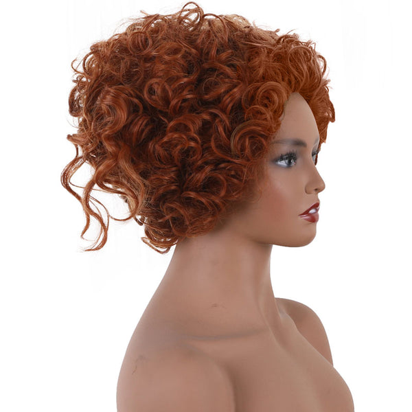 Disney Hocus Pocus 2 Winifred Sanderson Cosplay Wigs For Sales ...